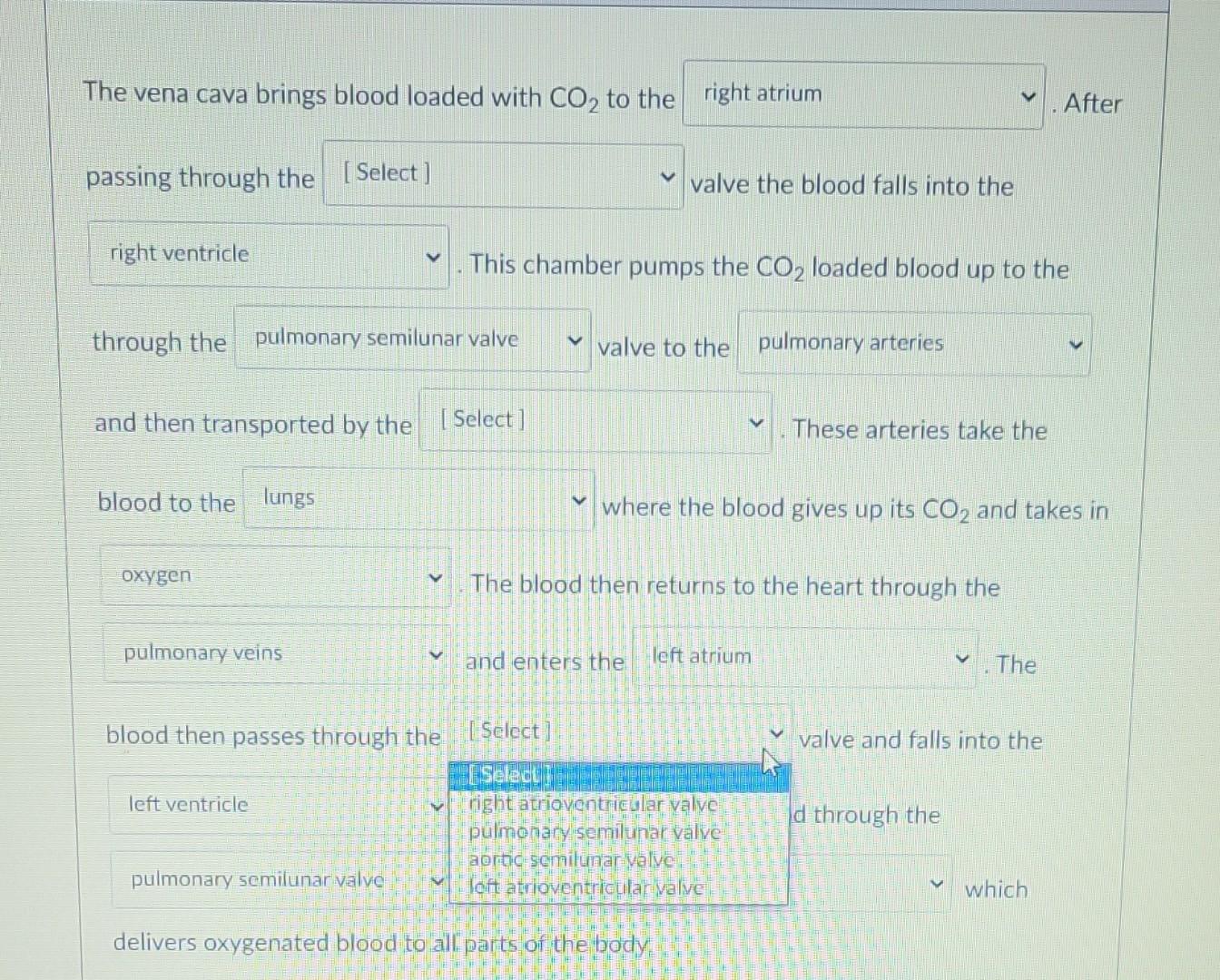 Solved The vena cava brings blood loaded with CO2 to the | Chegg.com