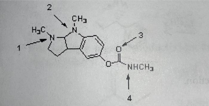 Solved N 2 CH3 H3C. 3 1 0 "NHCH3 4 | Chegg.com