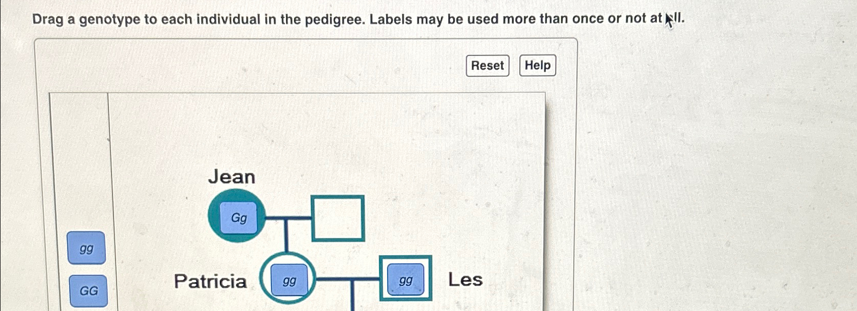 Solved Drag a genotype to each individual in the pedigree. | Chegg.com