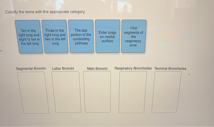 Solved Classify the items with the appropriate category. Ten | Chegg.com