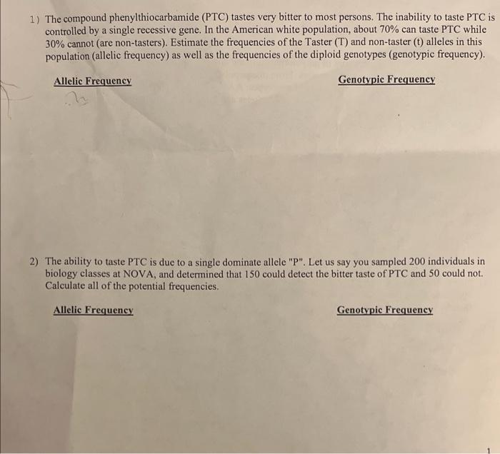 Solved 1) The compound phenylthiocarbamide (PTC) tastes very | Chegg.com