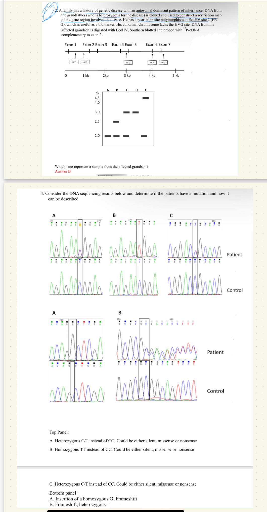 Solved the answers to these 2 ﻿questions are given , ﻿CAN | Chegg.com