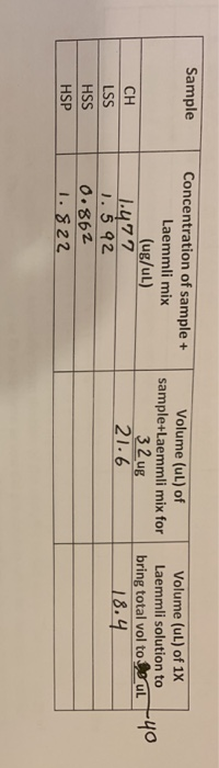 Solved Sample Concentration of sample + Laemmli mix (ug/L) | Chegg.com