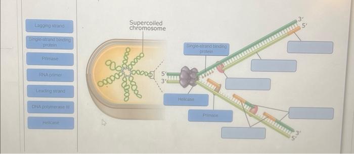 Solved match correctly | Chegg.com