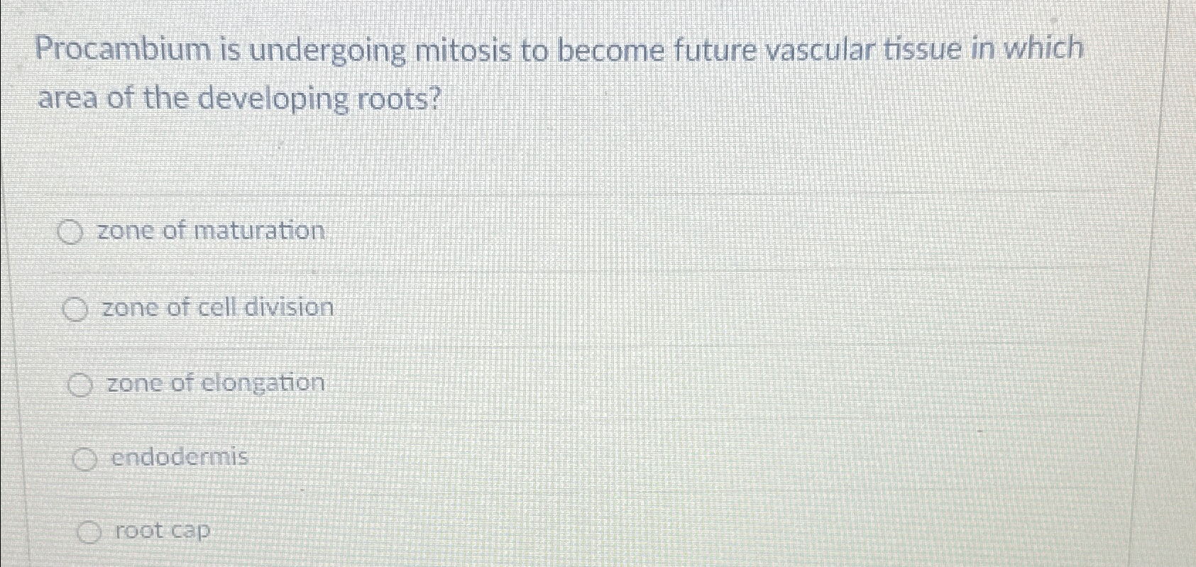 Procambium is undergoing mitosis to become future | Chegg.com