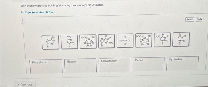 Solved Subject genetics Sort these nucleotide building | Chegg.com