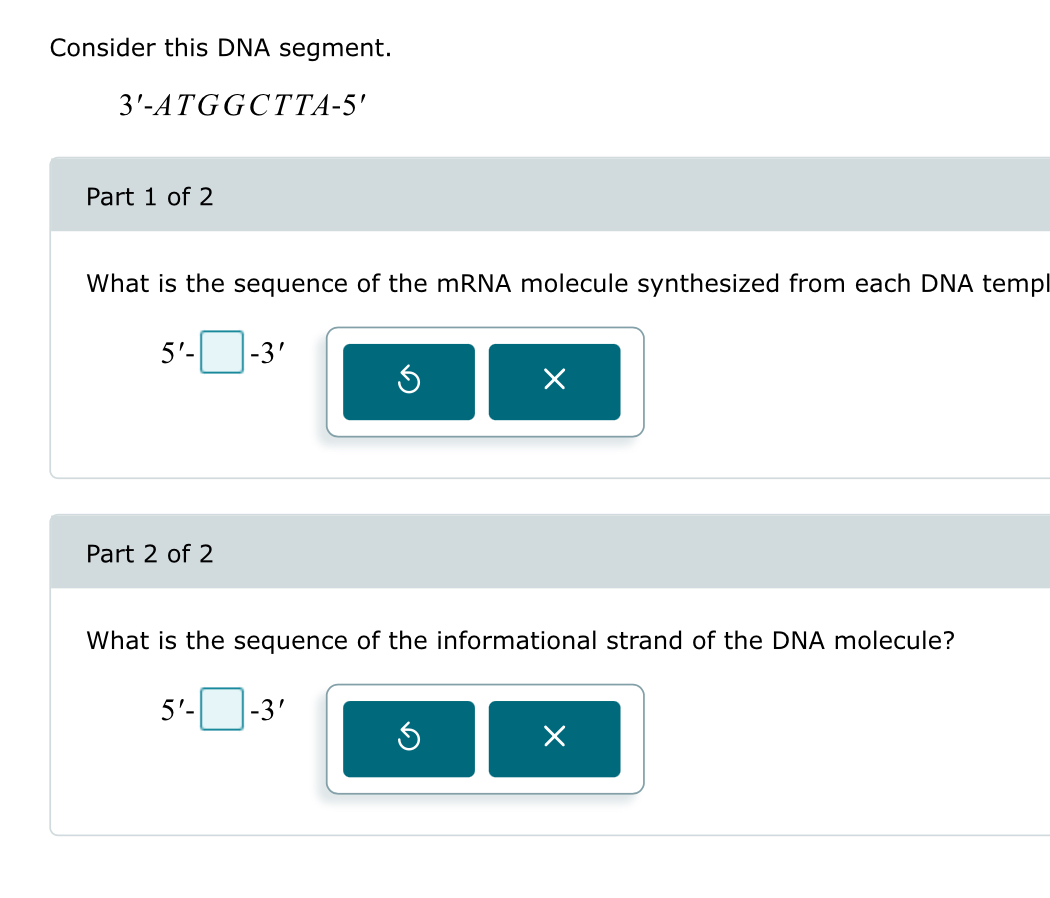 Solved Consider this DNA segment.3'-ATGGCTTA-5'Part | Chegg.com