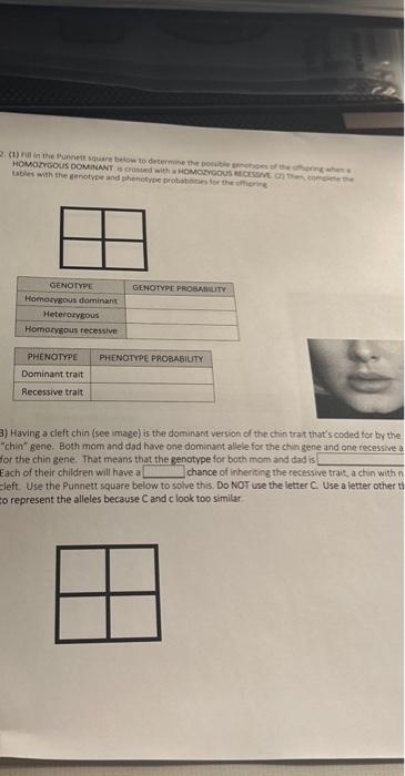 Solved 3) Having a cleft chin (see image) is the dominant | Chegg.com