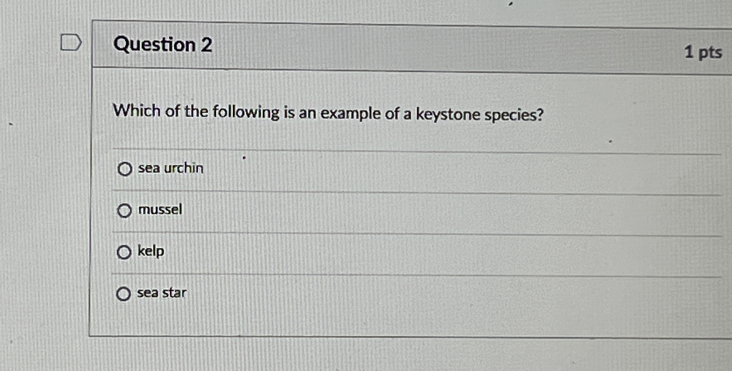 Solved Question 21 ﻿ptsWhich of the following is an example | Chegg.com