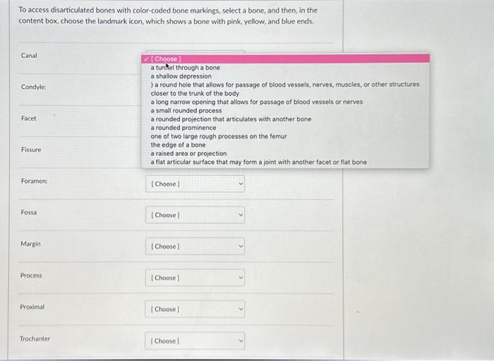Solved To access disarticulated bones with color-coded bone | Chegg.com