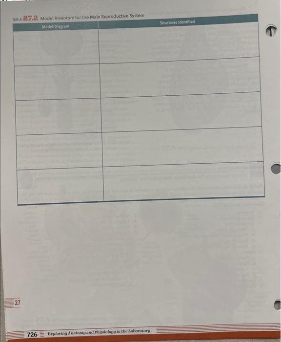 TABLE 27.2 Model Inventory for the Male Reproductive | Chegg.com