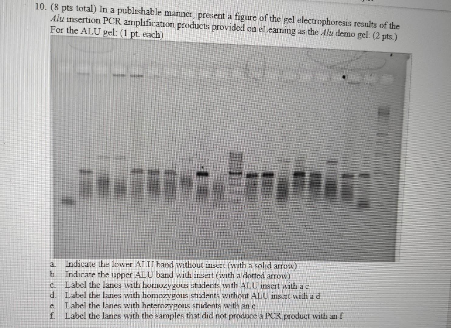 Solved 10. (8 pts total) In a publishable manner, present a | Chegg.com