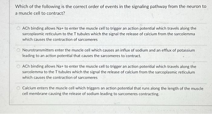 Solved Which of the following is the correct order of events | Chegg.com