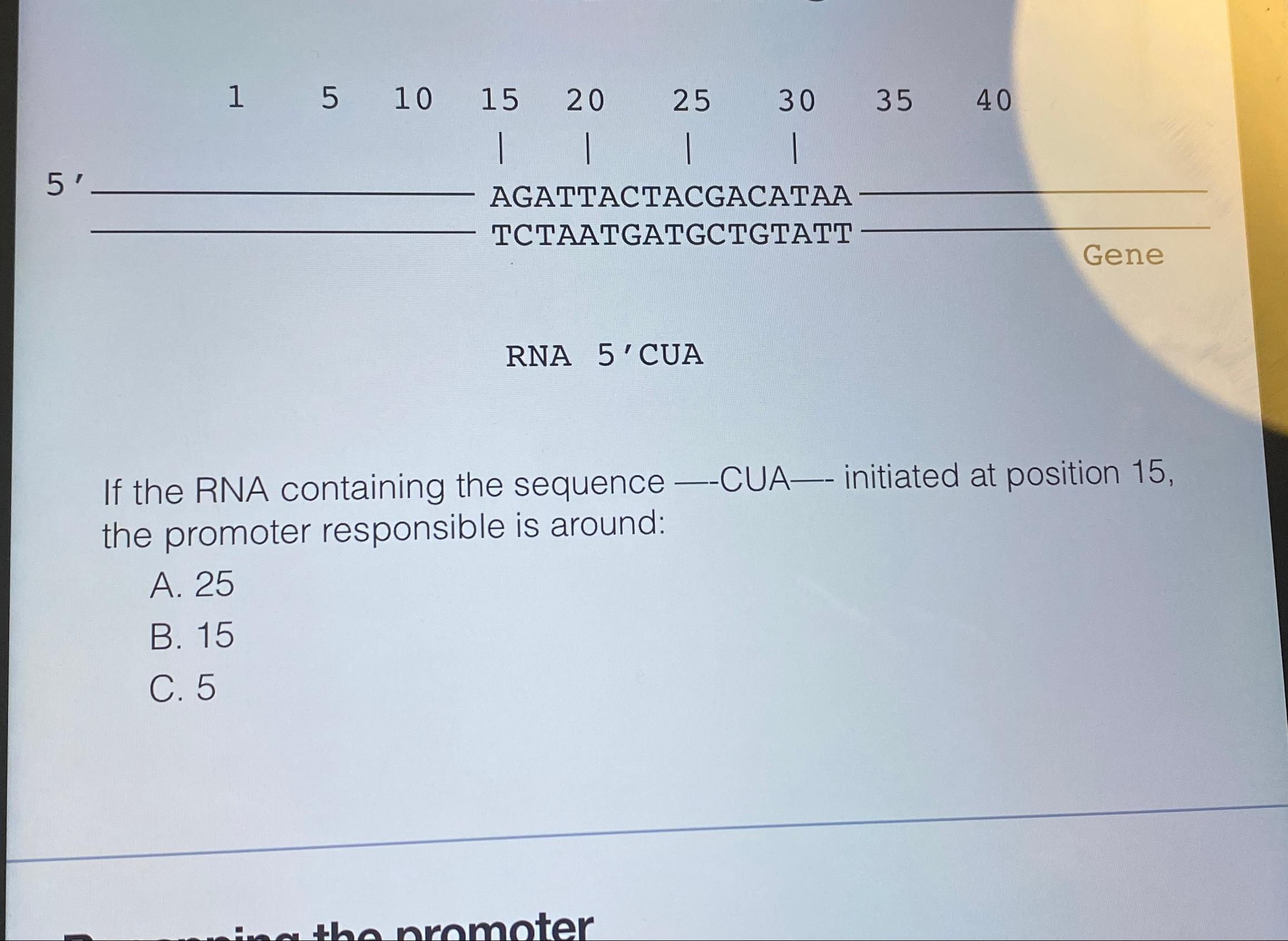 Solved GeneRNA 5' ﻿CUAIf the RNA containing the sequence | Chegg.com