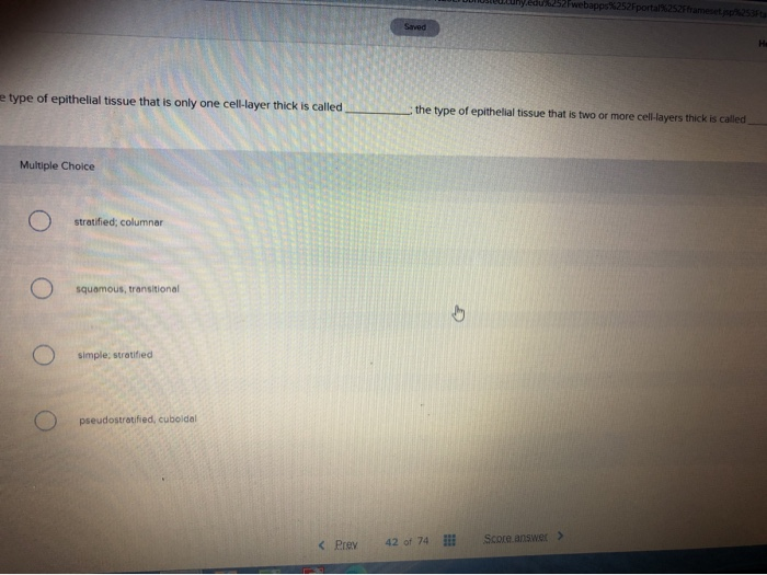 Solved webapps%252Fportal 252 frame Saved H e type of | Chegg.com