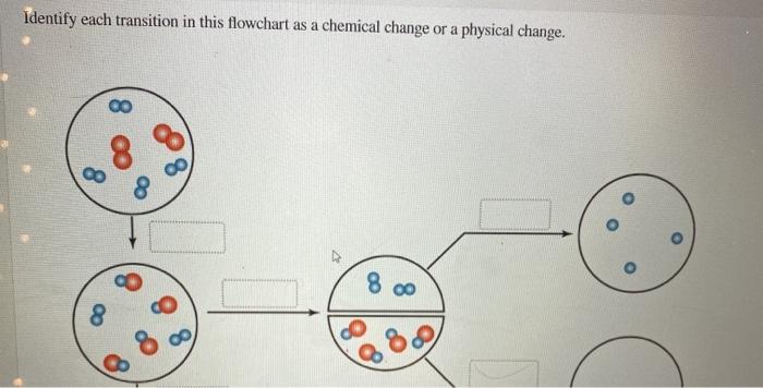 Solved Identify each transition in this flowchart as a | Chegg.com