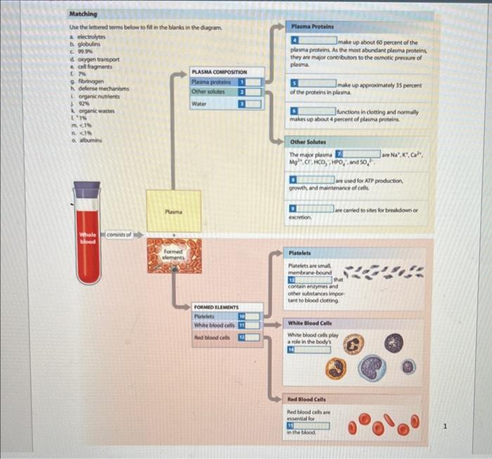 Matching Use the lettered tems below to fil in the | Chegg.com