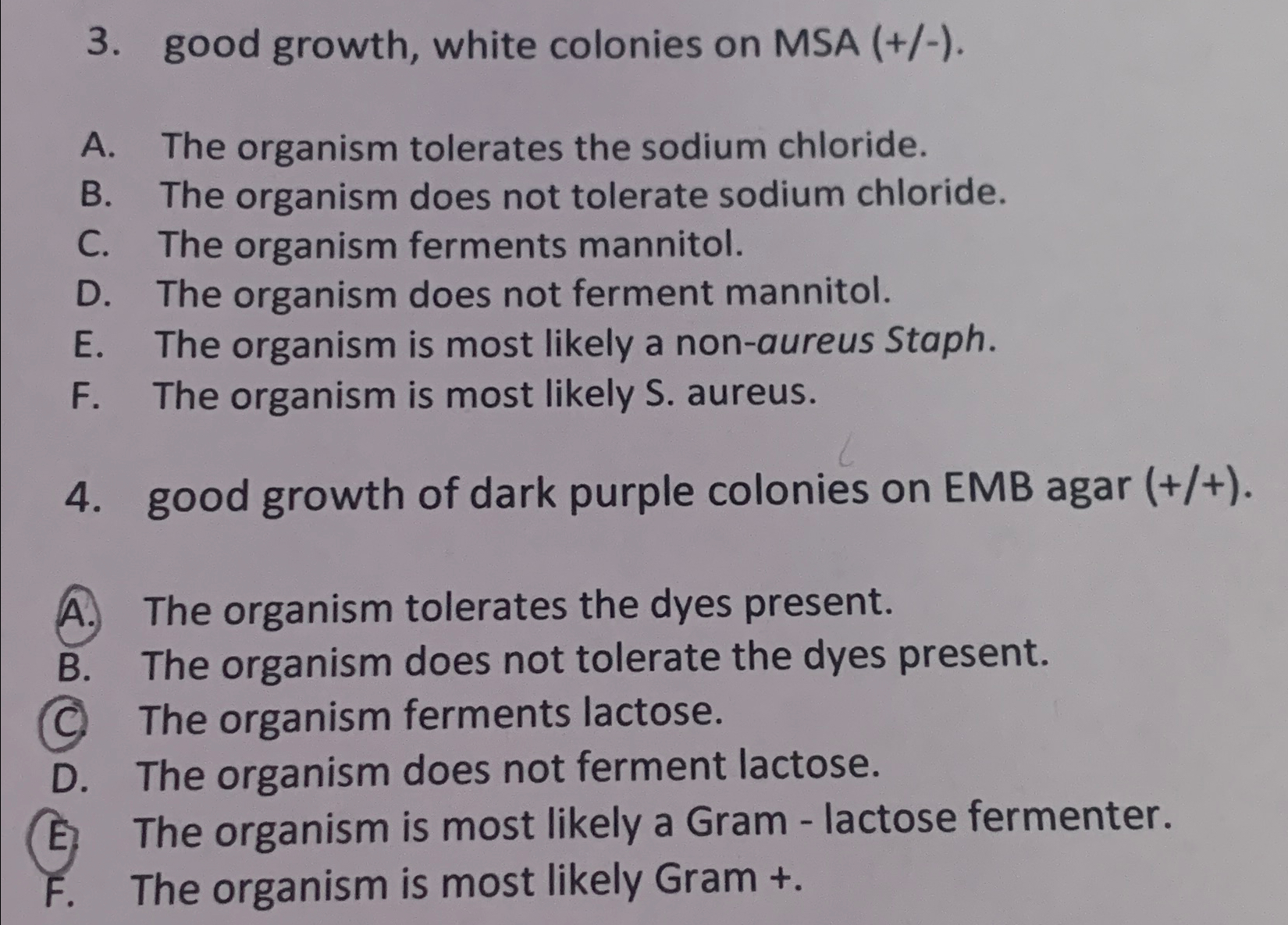 Solved good growth, white colonies on MSA (+/-).A. ﻿The | Chegg.com