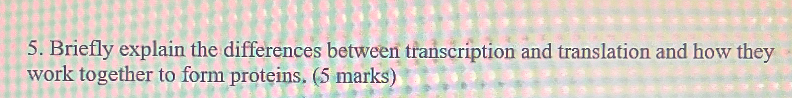 Solved Briefly explain the differences between transcription | Chegg.com Solved Briefly explain the differences between transcription | Chegg.com