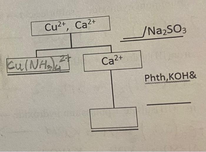 Solved Phth, KOH\& | Chegg.com