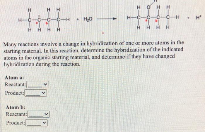 Solved Sodium ethoxide, CH2CH2ONa, contains both ionic and | Chegg.com
