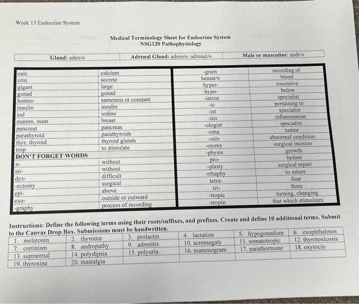 Solved define the following terms using their | Chegg.com
