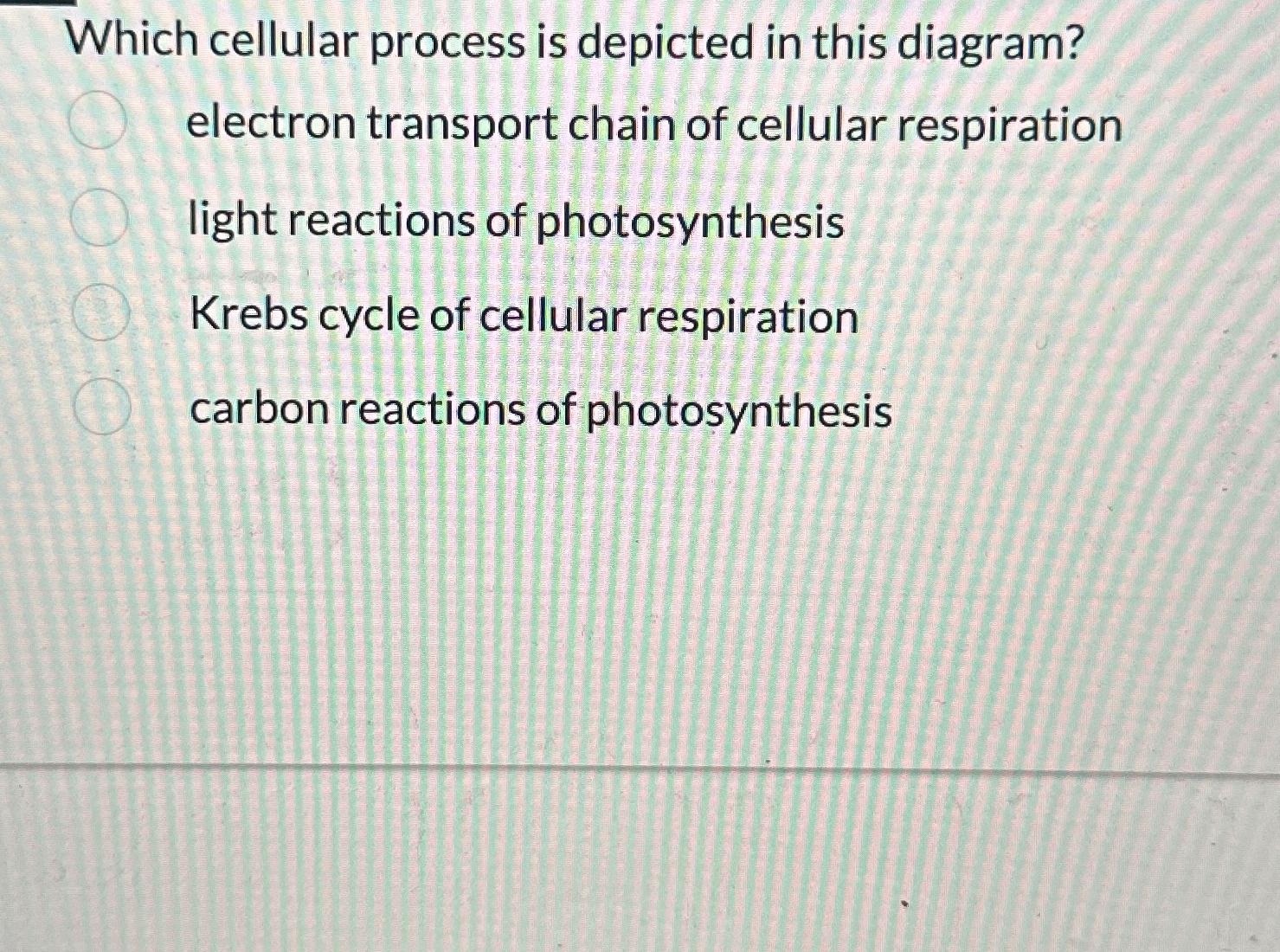 Solved Which cellular process is depicted in this | Chegg.com