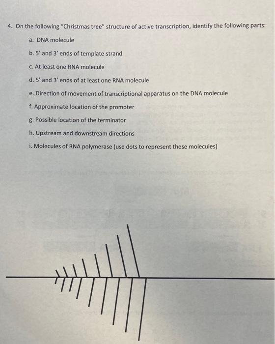 Solved 4. On the following "Christmas tree" structure of | Chegg.com