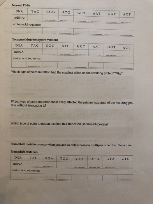 Solved Normal DNA DNA: TAC CGG ATG GCT AAT GGT ACT mRNA: | Chegg.com
