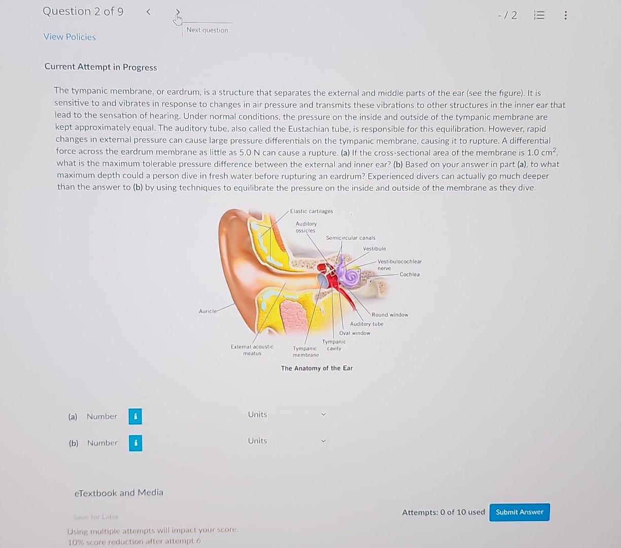 Solved Current Attempt in Progress The tympanic membrane, or | Chegg.com