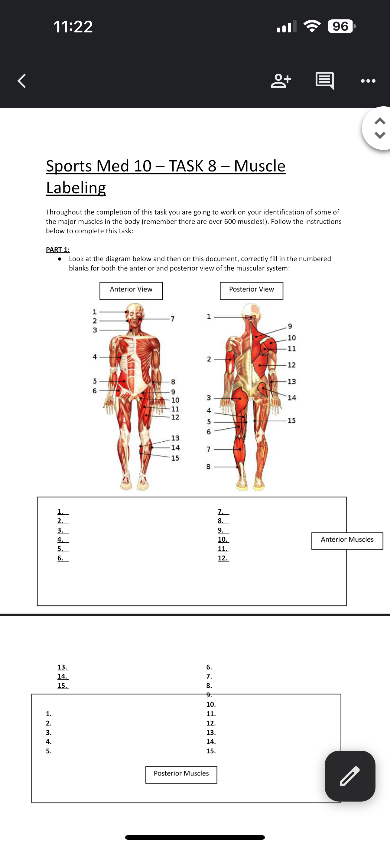 Solved Sports Med 10 - ﻿TASK 8 - ﻿MuscleLabelingThroughout | Chegg.com