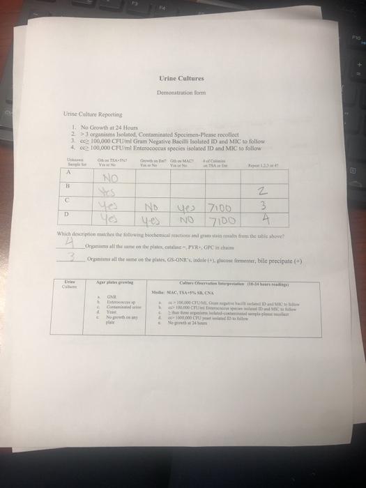 Urine Cultures Demonstration form Urine Culture | Chegg.com