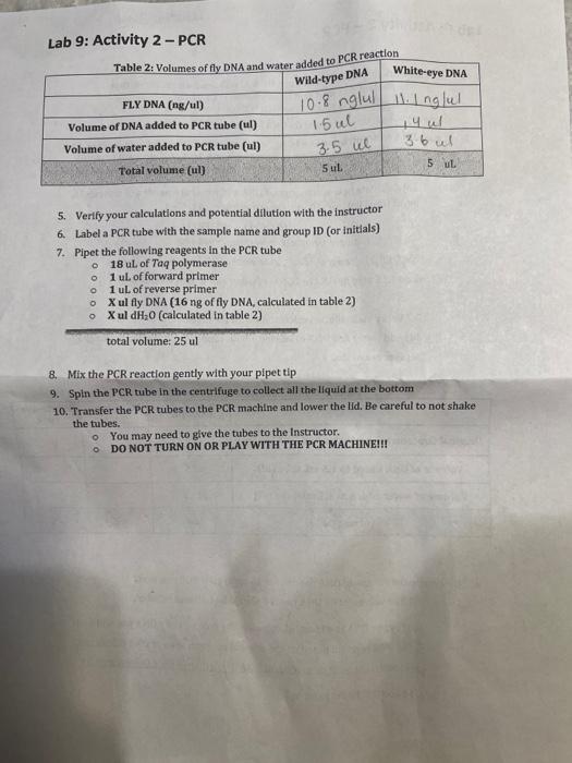 Solved Lab 9: Activity 2-PCR PCBProtocal 1. Students work in | Chegg.com
