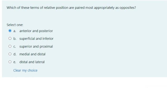 Solved Which of these terms of relative position are paired | Chegg.com