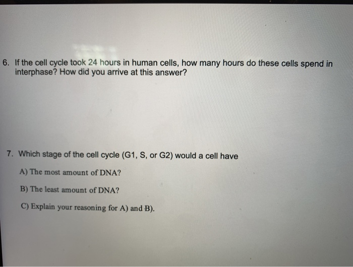 Solved 6. If the cell cycle took 24 hours in human cells, | Chegg.com