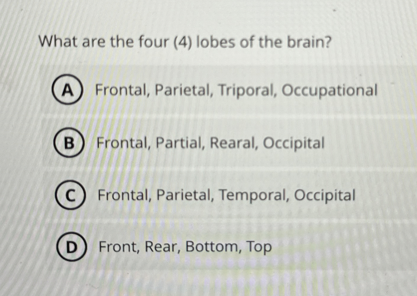 Solved What are the four (4) ﻿lobes of the brain?Frontal, | Chegg.com