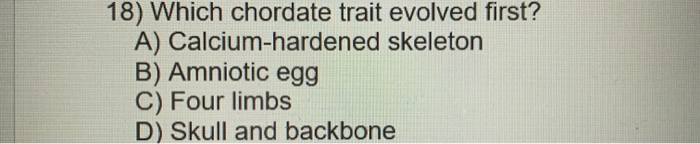 Solved 18) Which chordate trait evolved first? A) | Chegg.com