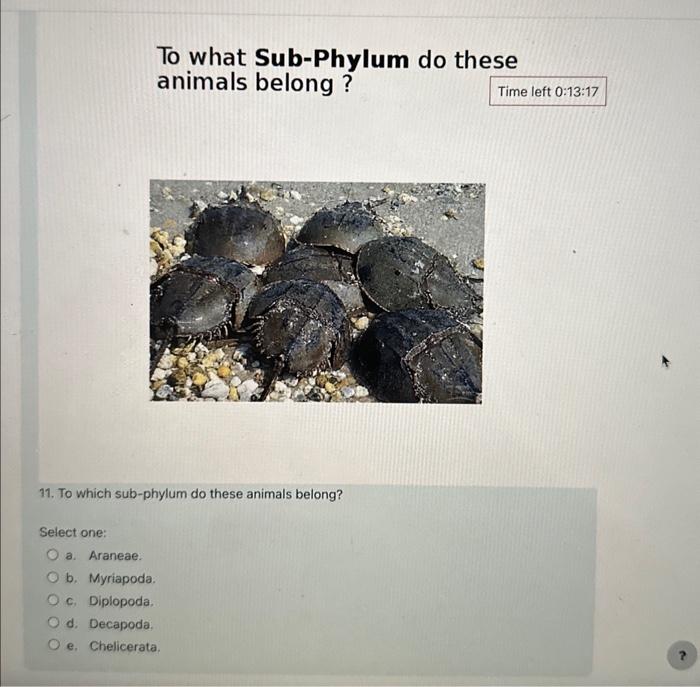 Solved To which order do these animals belong? 14. To which | Chegg.com