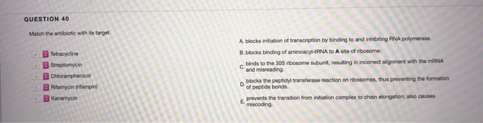 Solved QUESTION 40 Match the antibiotic with its target. | Chegg.com