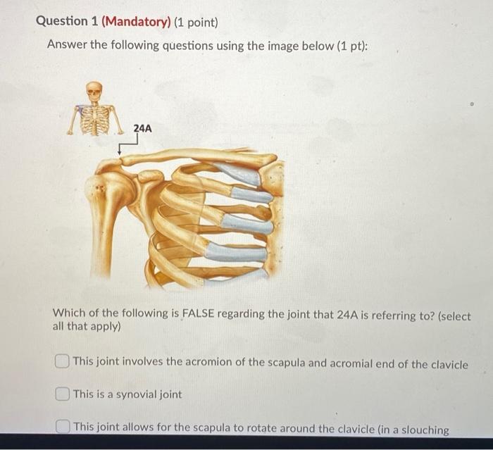 Solved Question 1 (Mandatory) (1 point) Answer the following | Chegg.com
