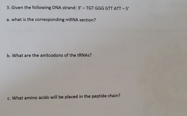 Solved 3. Given the following DNA strand: 3' - TGT GGG GTT | Chegg.com