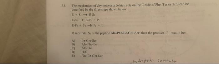Solved 33 The mechanism of chymotrypsin (which cuts on the | Chegg.com