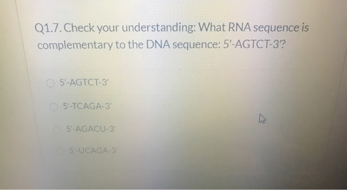 Solved Q1.7. Check your understanding: What RNA sequence is | Chegg.com