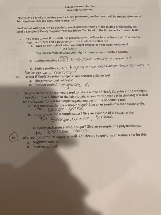 Solved Lab 2: Macromolecules Post-Lab Assignment Your | Chegg.com