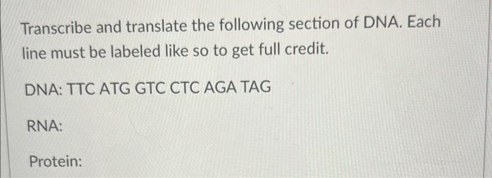 Solved Transcribe and translate the following section of | Chegg.com