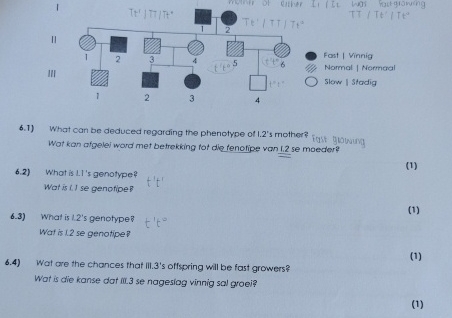 Solved Maternal provisioning (the abilty of a female to | Chegg.com