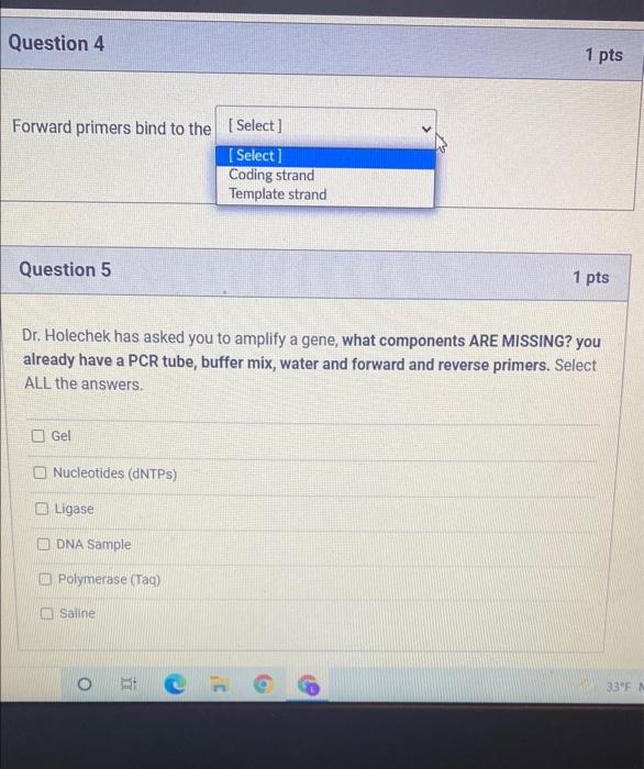 Solved Question 4 1 pts Forward primers bind to the [Select] | Chegg.com