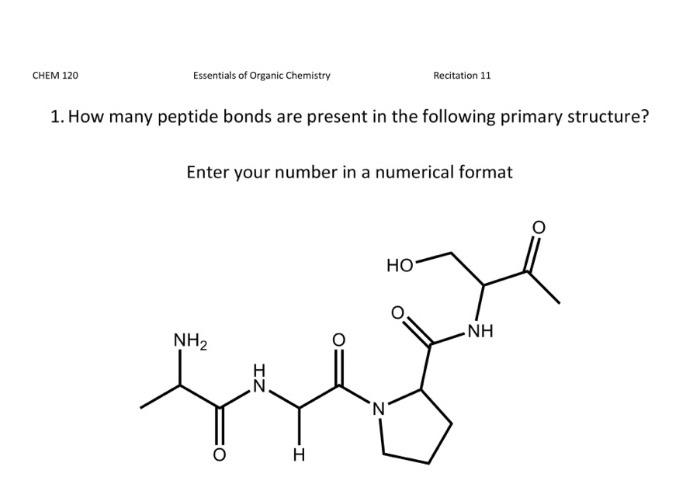 Solved 1. How many peptide bonds are present in the | Chegg.com