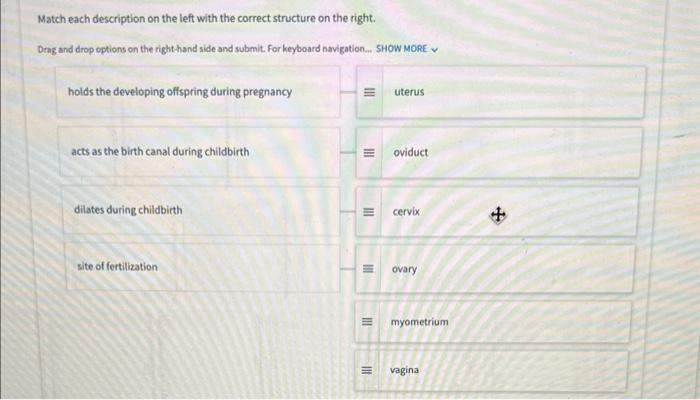 Solved Match each description on the left with the correct | Chegg.com