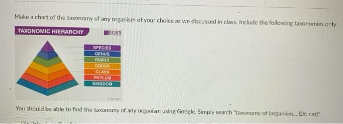 Solved Make a chart of the taxonomy of any organism of your | Chegg.com
